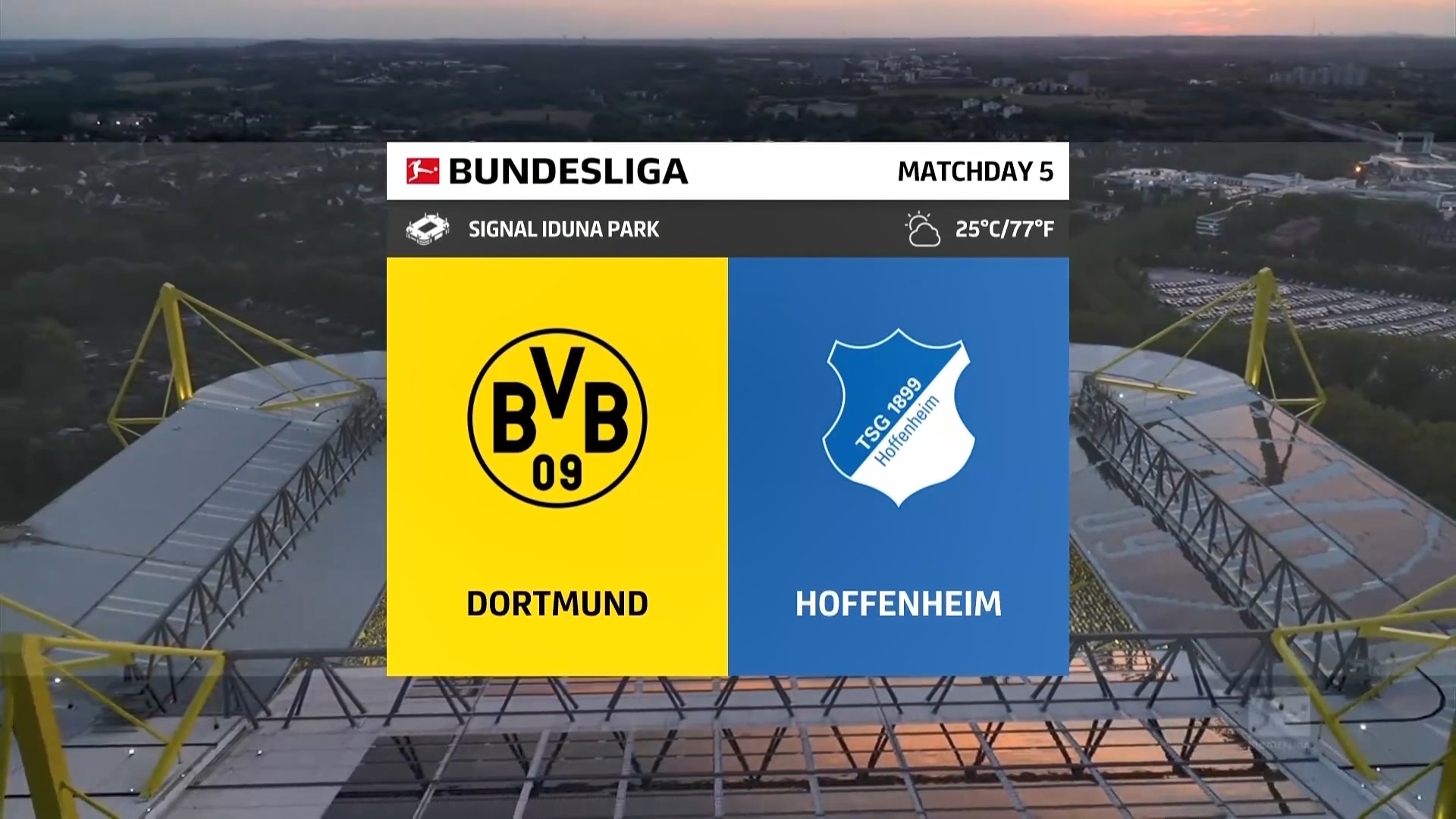 全场精华|22-23德甲05 多特蒙德1-0霍芬海姆