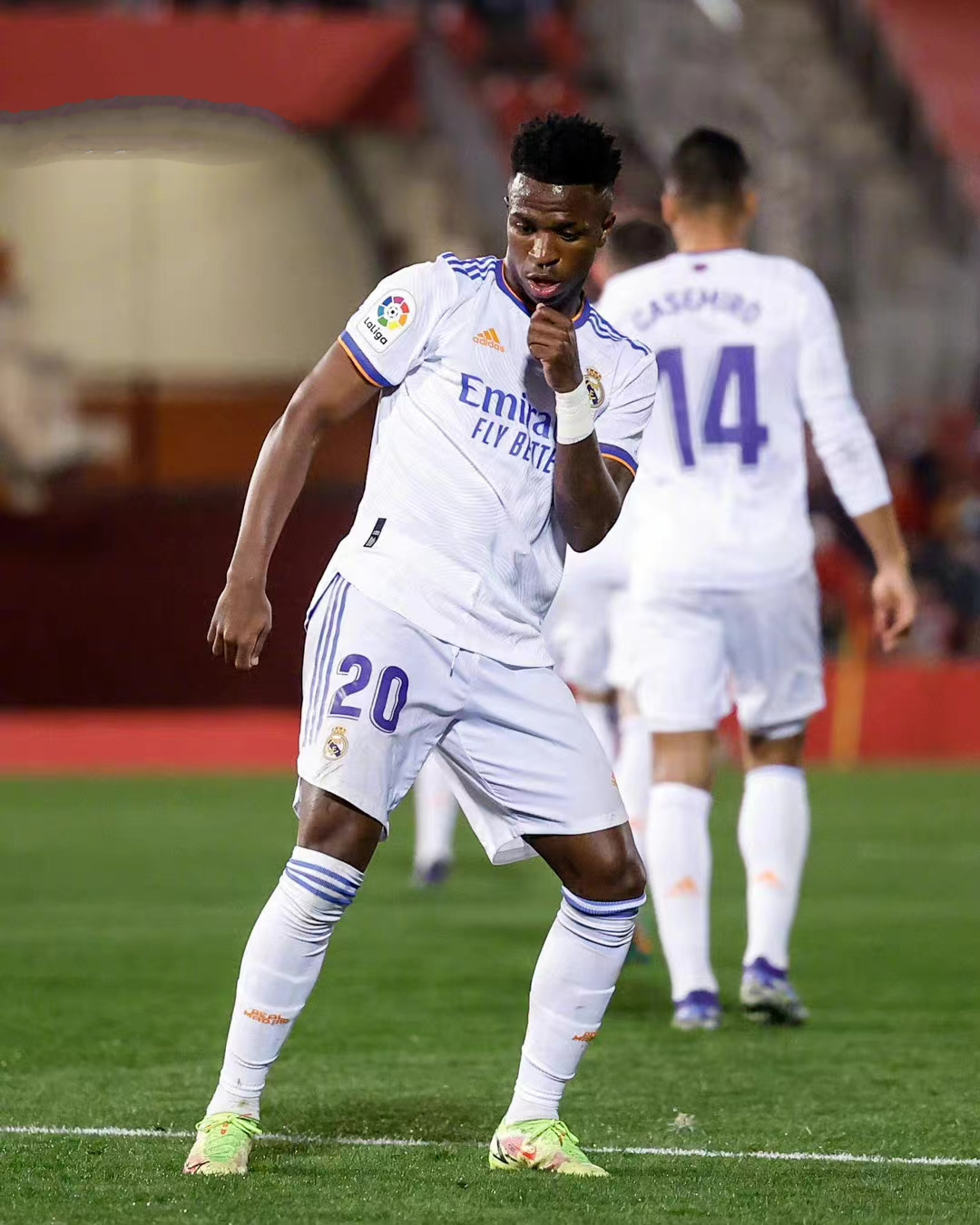 维尼修斯，为你写诗！