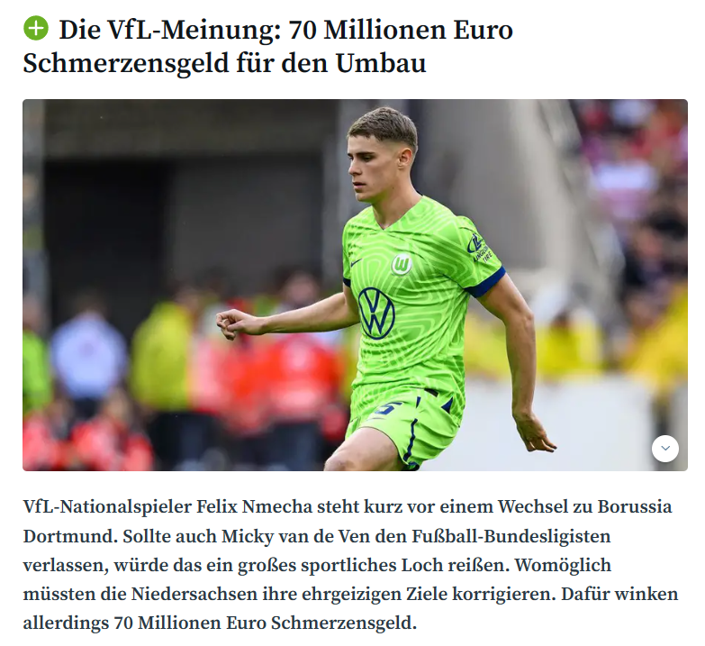 WAZ的一篇短评，Thomas Gassmann...